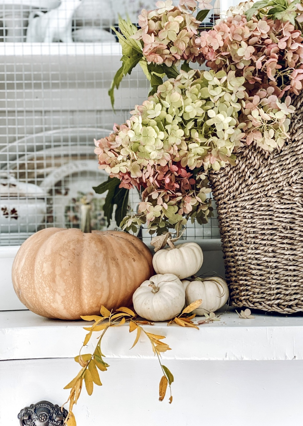 Foraged & free - creating fall decor from nature - LeCultivateur